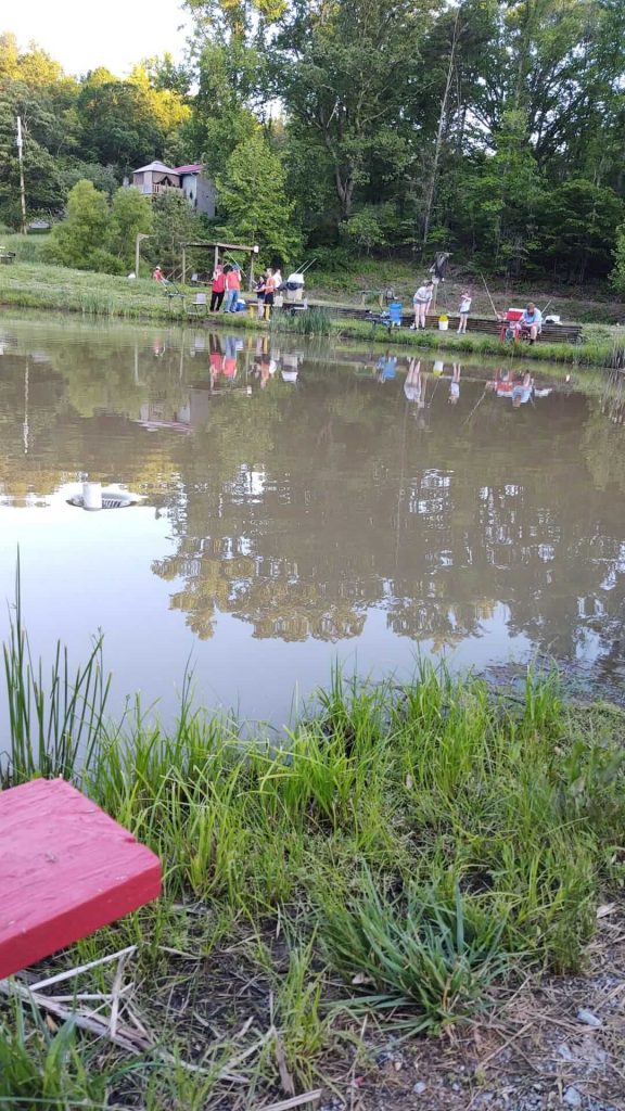 Gallery – Weasel Junction Catfish Pond